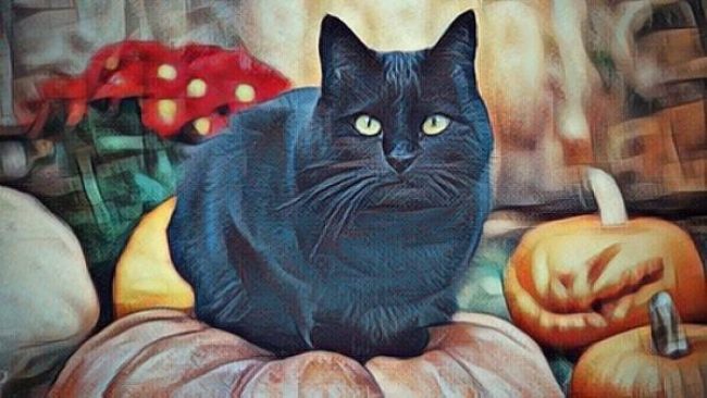 El yo verdadero y yo falso: ¿Qué significan en el psicoanálisis?