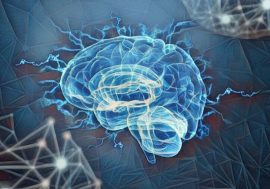 ¿Qué es el cognitivismo y cuáles son sus principios?