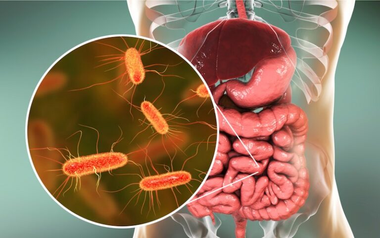 ¿Qué es la microbiota intestinal y cómo se relaciona con el autismo?
